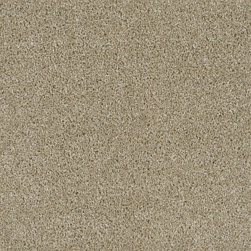 Accolade in Outback Carpet – Lewis Floor & Home