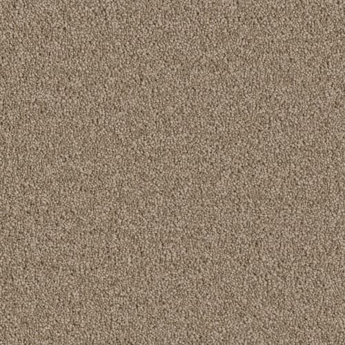 Colonial Plus in Sandstone Carpet – Lewis Floor & Home