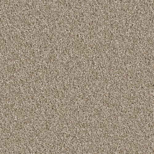 Colonial Plus in Sandstone Carpet – Lewis Floor & Home