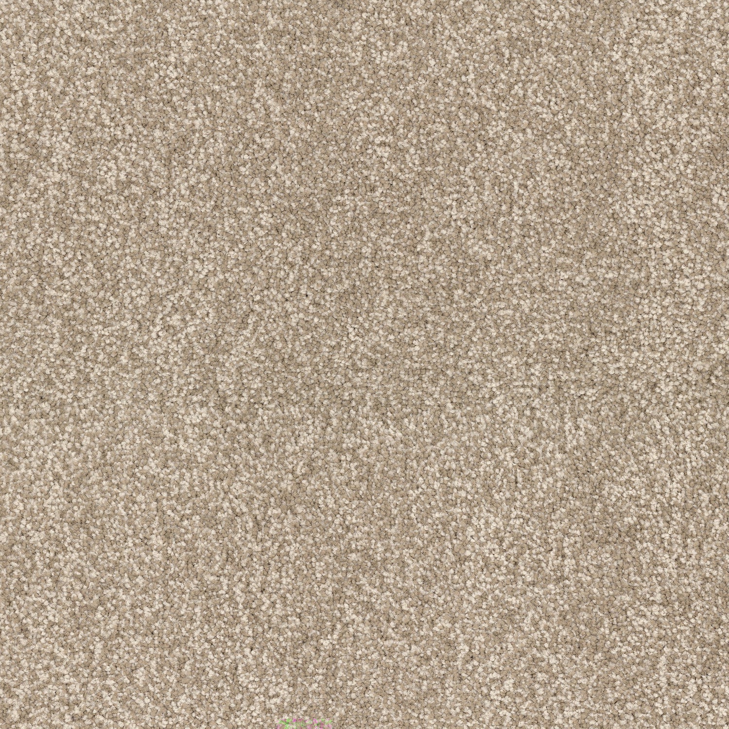 Summer Escape Carpet Flooring by Dixie Home – Lewis Floor & Home