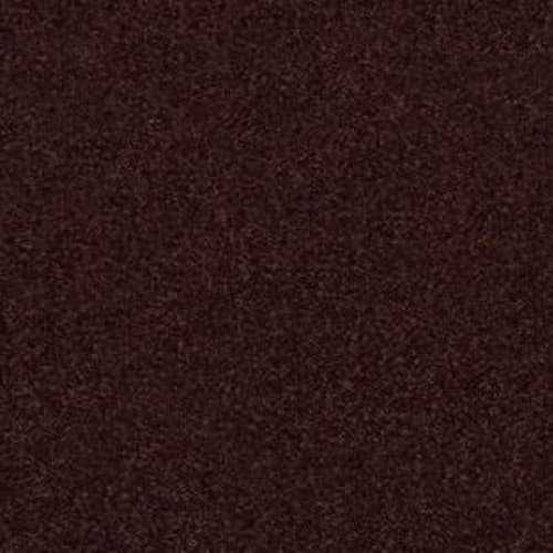Loyal Beauty III in Candlewick Glow Carpet – Lewis Floor & Home